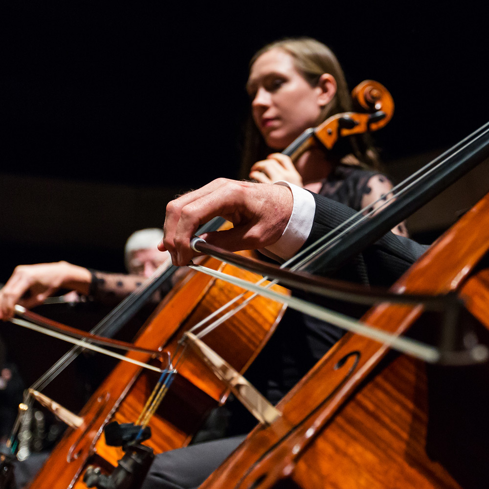 Terms and Conditions of Sale - WASO