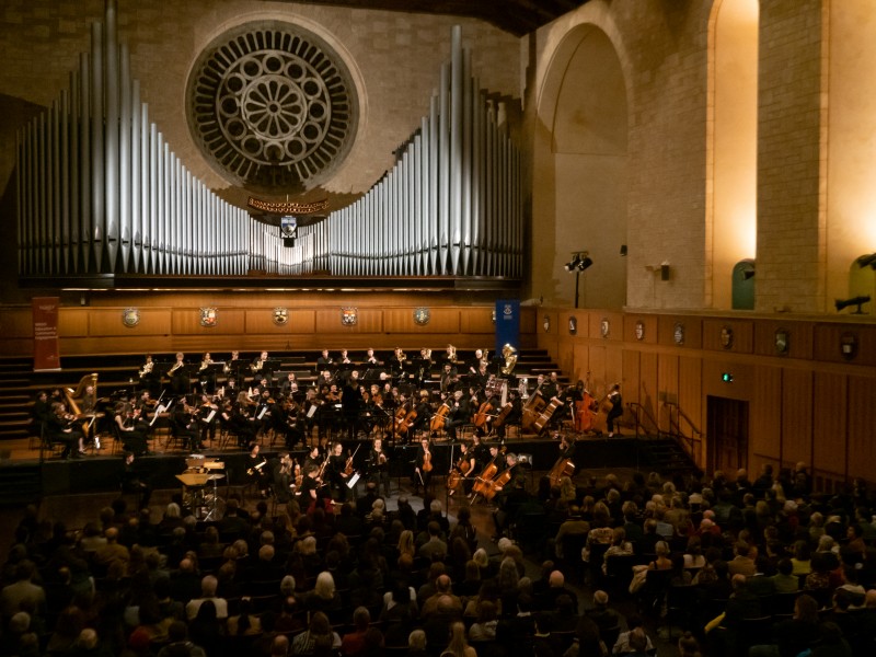 Artist Development - WASO