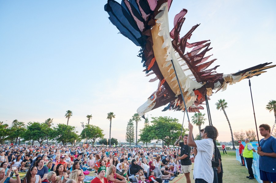 The Organisation - WASO