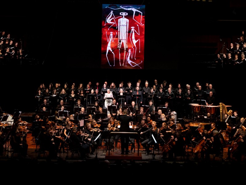 The Organisation - WASO